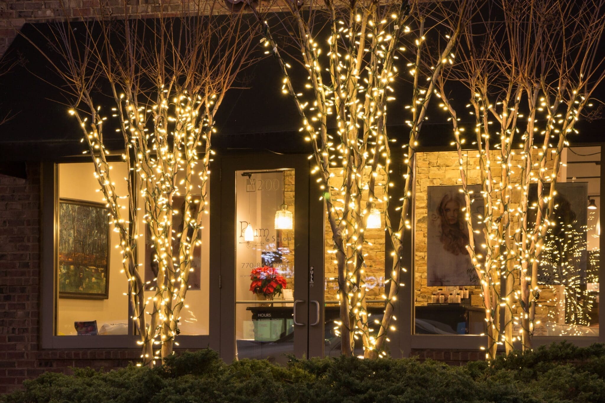 Permanent Holiday Lighting Atlanta | NightVision Outdoor Lighting